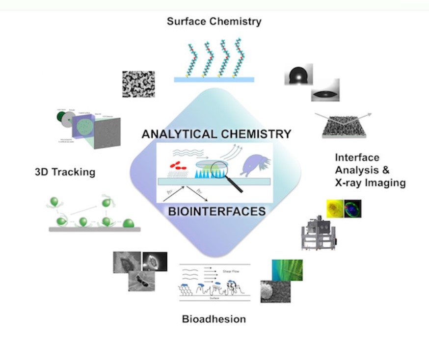 Research Interest | Biointerfaces