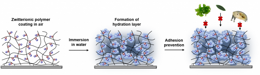 Zwitterionic Polymers | Biointerfaces